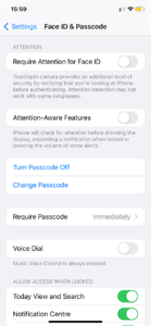 How can you change a password on your iPhone?