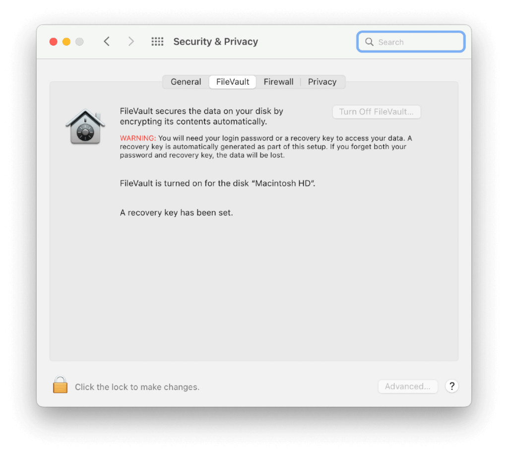 What is FileVault, and how does it protect your data?