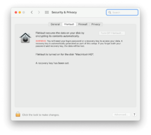 What is FileVault, and how does it protect your data?