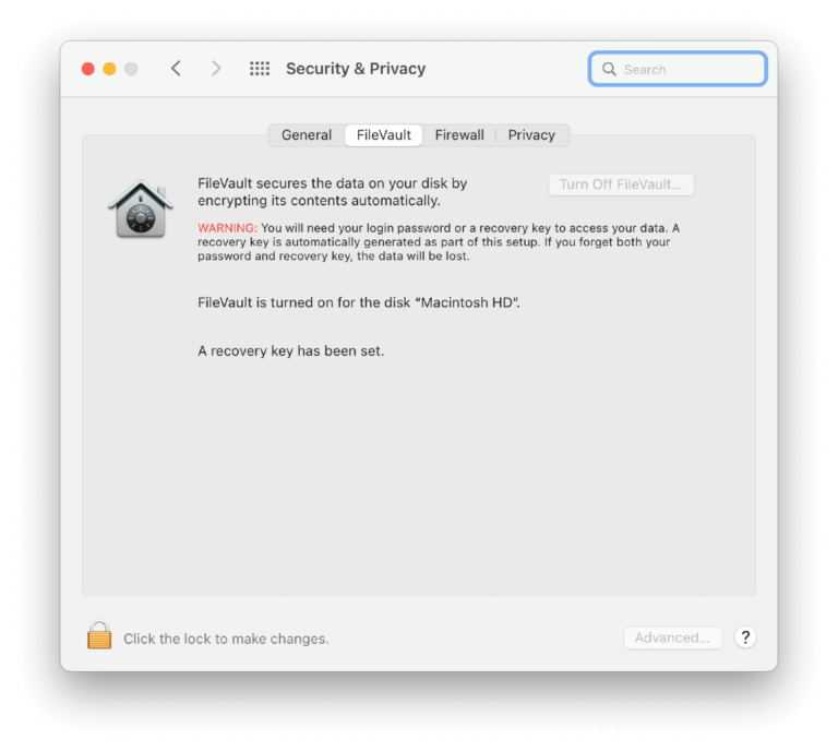 What is FileVault, and how does it protect your data?