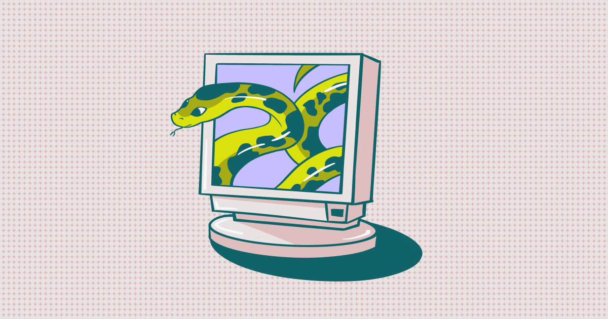 Backdoor Installing Malware Found In Python Software Repository