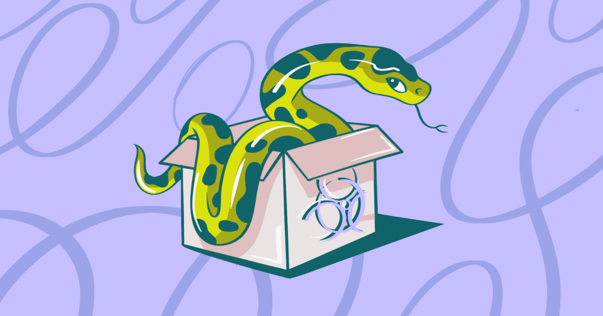 Malicious Package Distributed Through The Pypi Registry