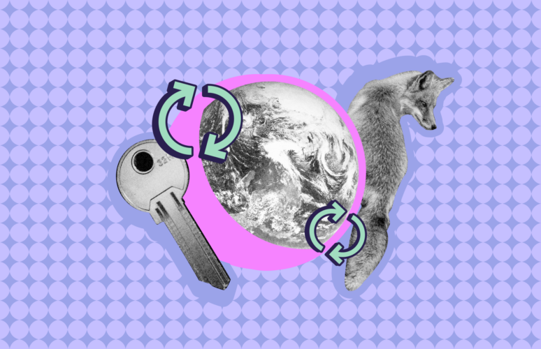 Signal, 1Password, Chrome, Firefox issue urgent security updates